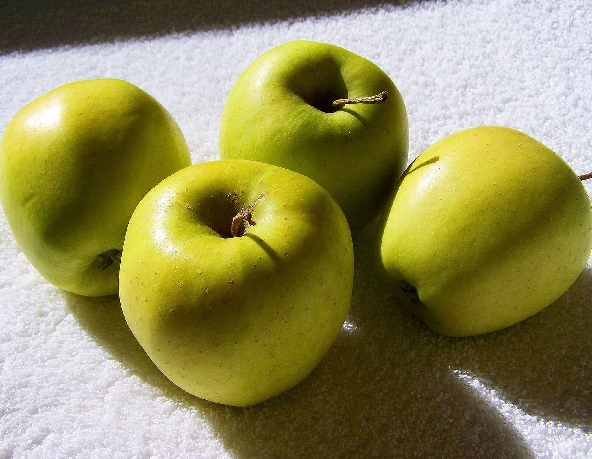 BC Apples | Fersters Fundraising